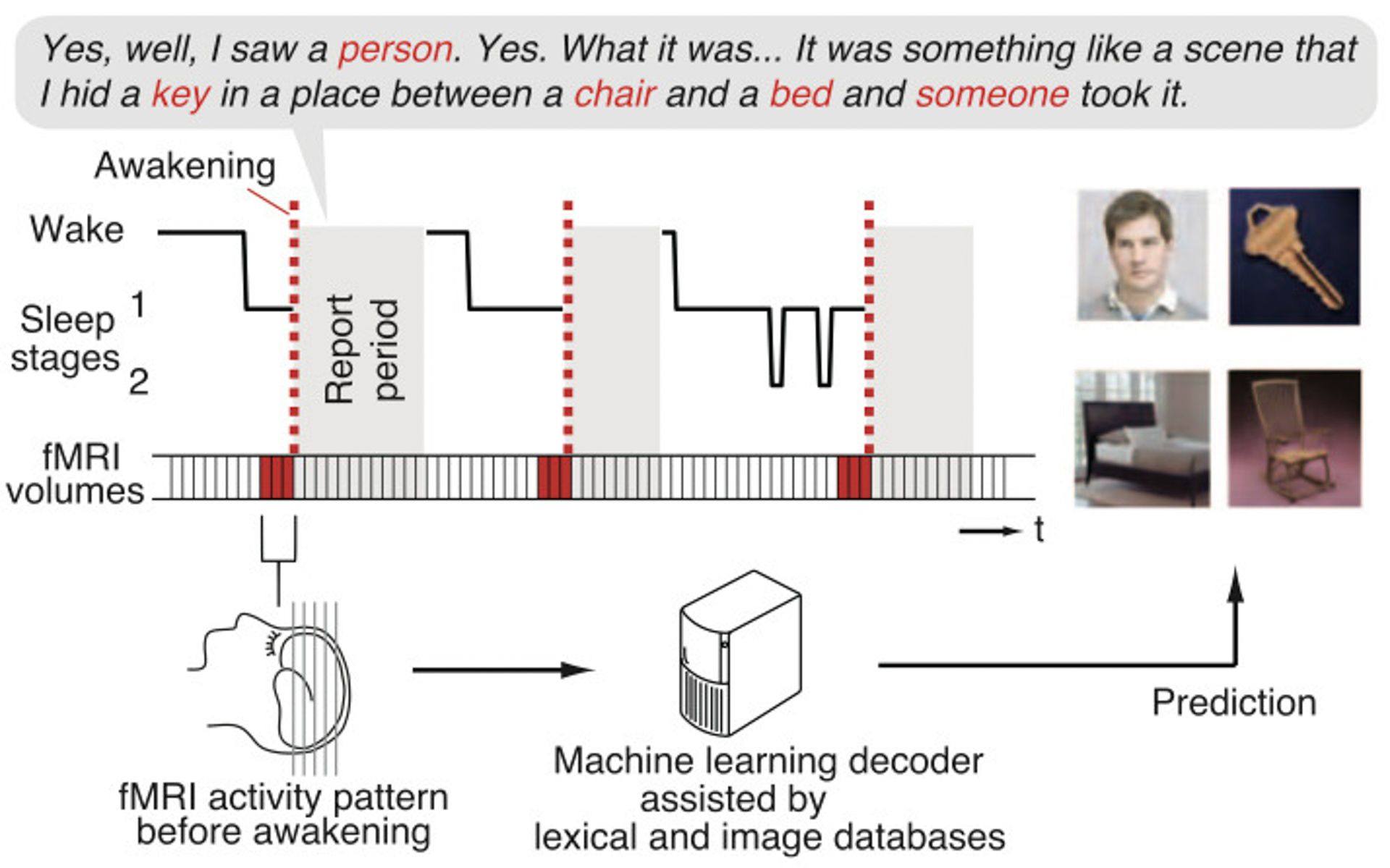 Psychicones: Hauntologies of Neural Decoding AI Systems by Gala ...